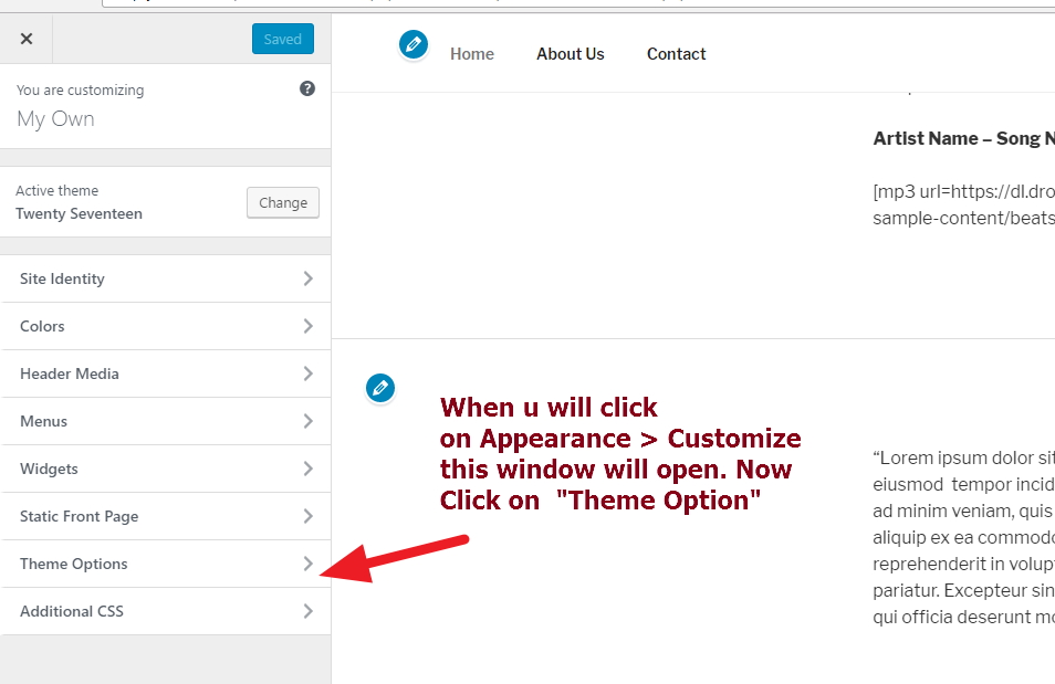 twenty-seventeen-theme-option – All About Basic