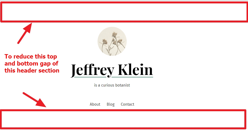 Seedlet by Automattic: A writing and content based theme’s Modifications, Support and ...