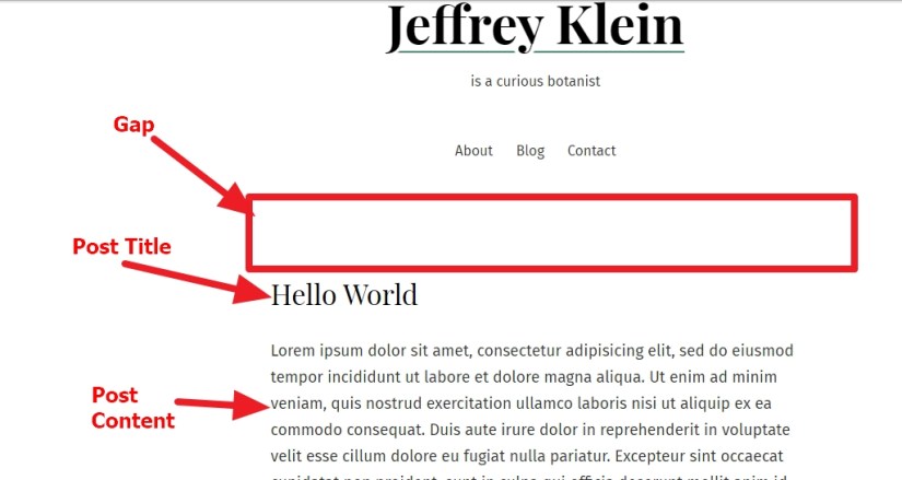 Seedlet by Automattic: A writing and content based theme’s Modifications, Support and ...
