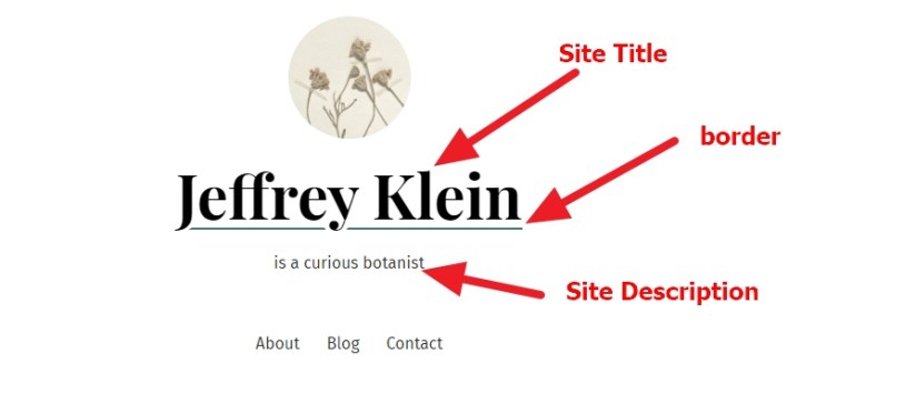 Seedlet by Automattic: A writing and content based theme’s Modifications, Support and ...